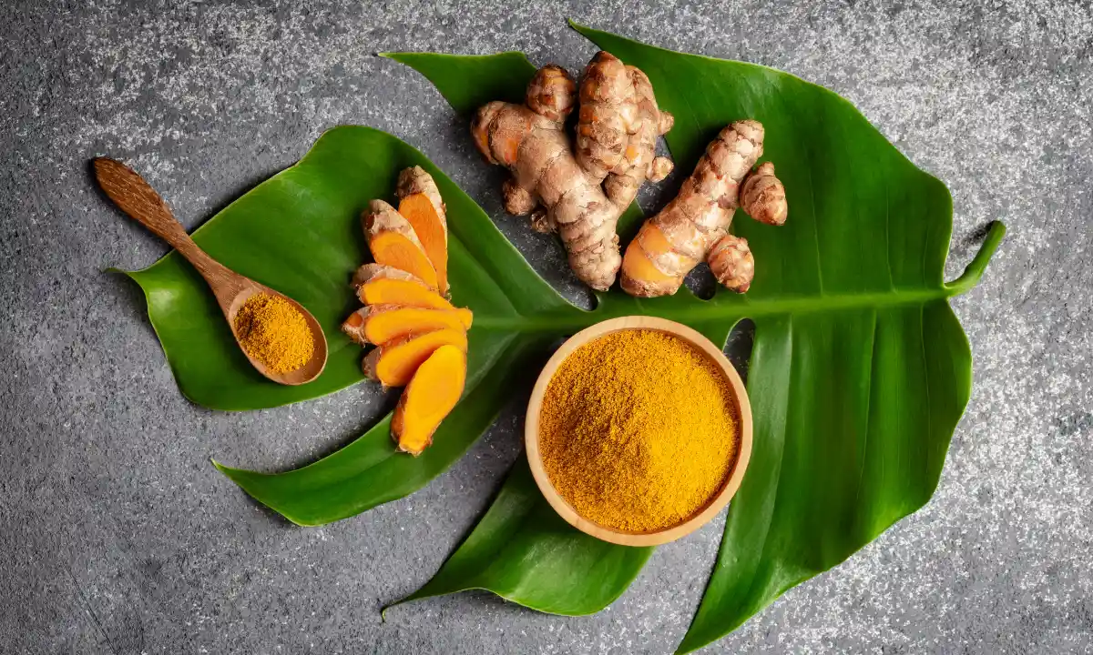 Top Turmeric-Producing Countries: A Global Overview