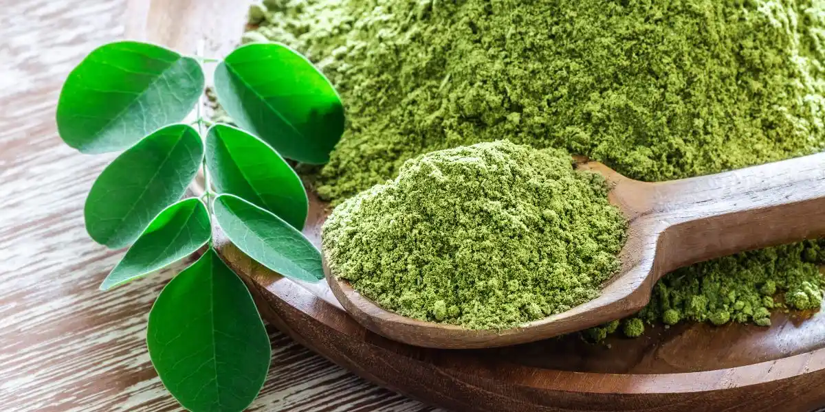 Potential Side Effects of Moringa Powder: A Complete Guide